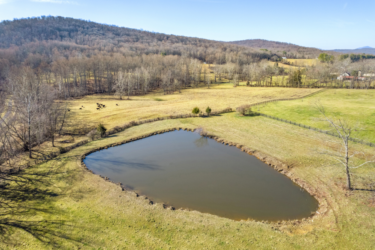 Thomas & Talbot | Bright Prospect