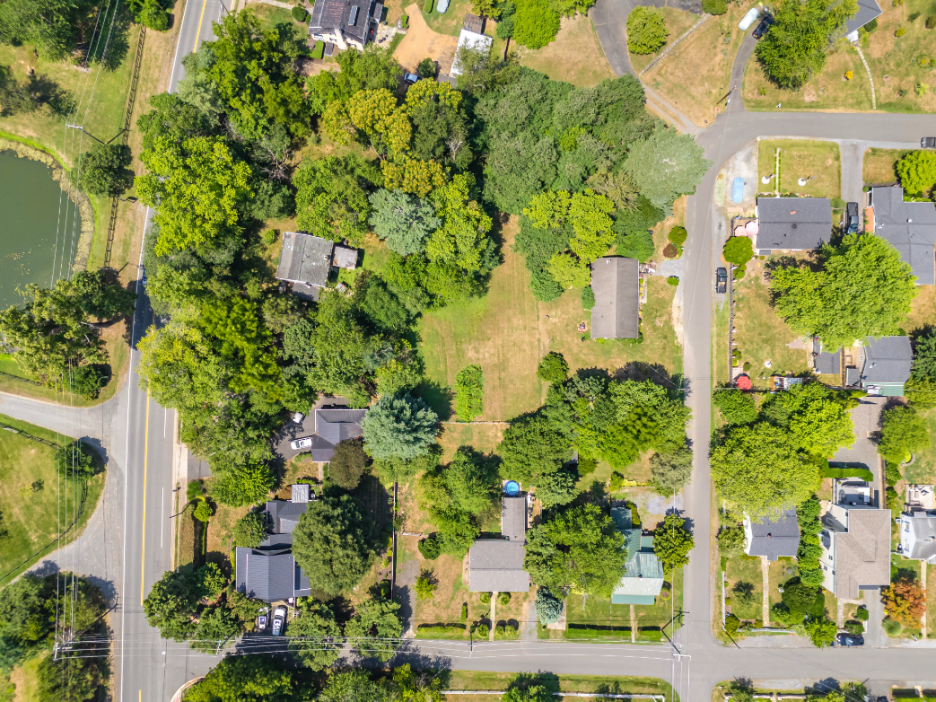 Thomas & Talbot | Buildable Parcel