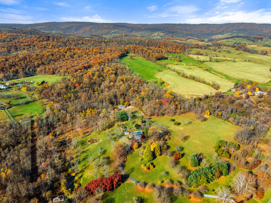 Thomas & Talbot | Delaplane Manor