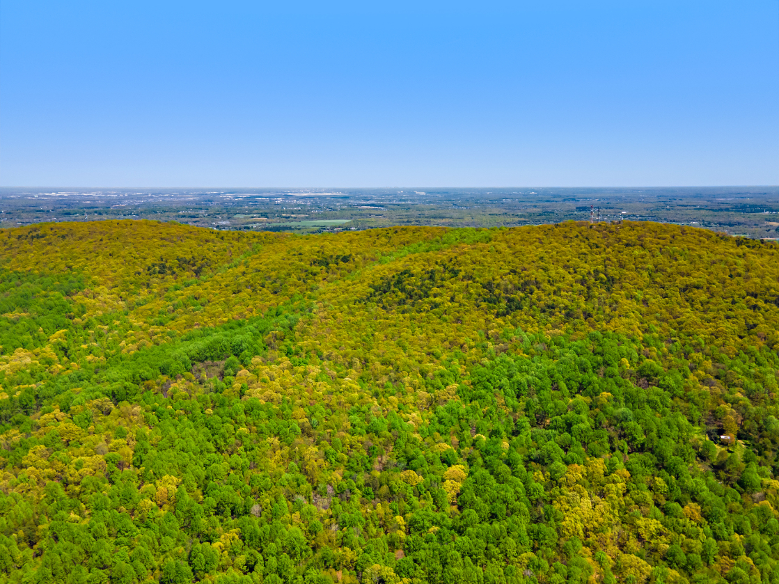 Thomas & Talbot | Hungry Run