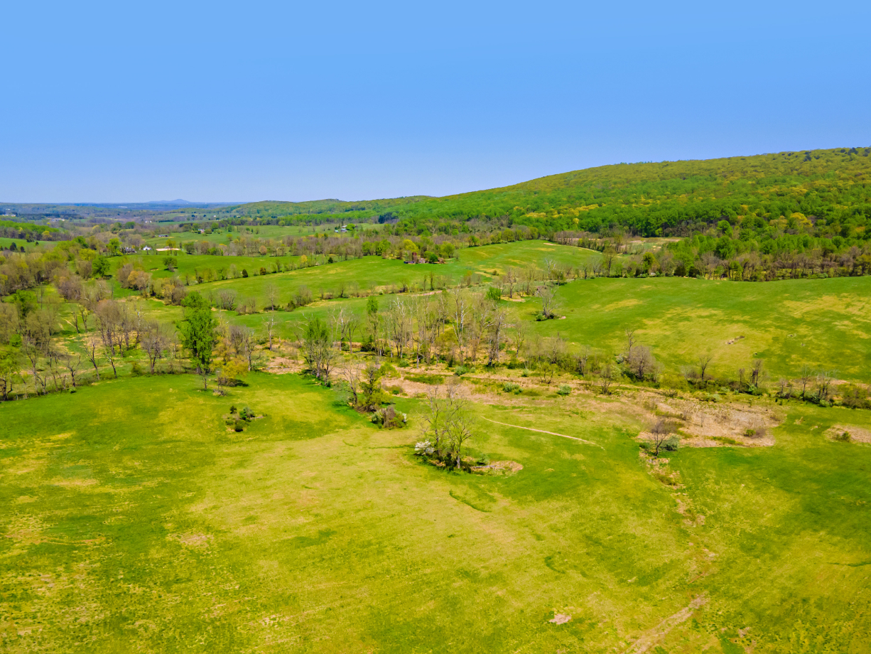 Thomas & Talbot | Hungry Run