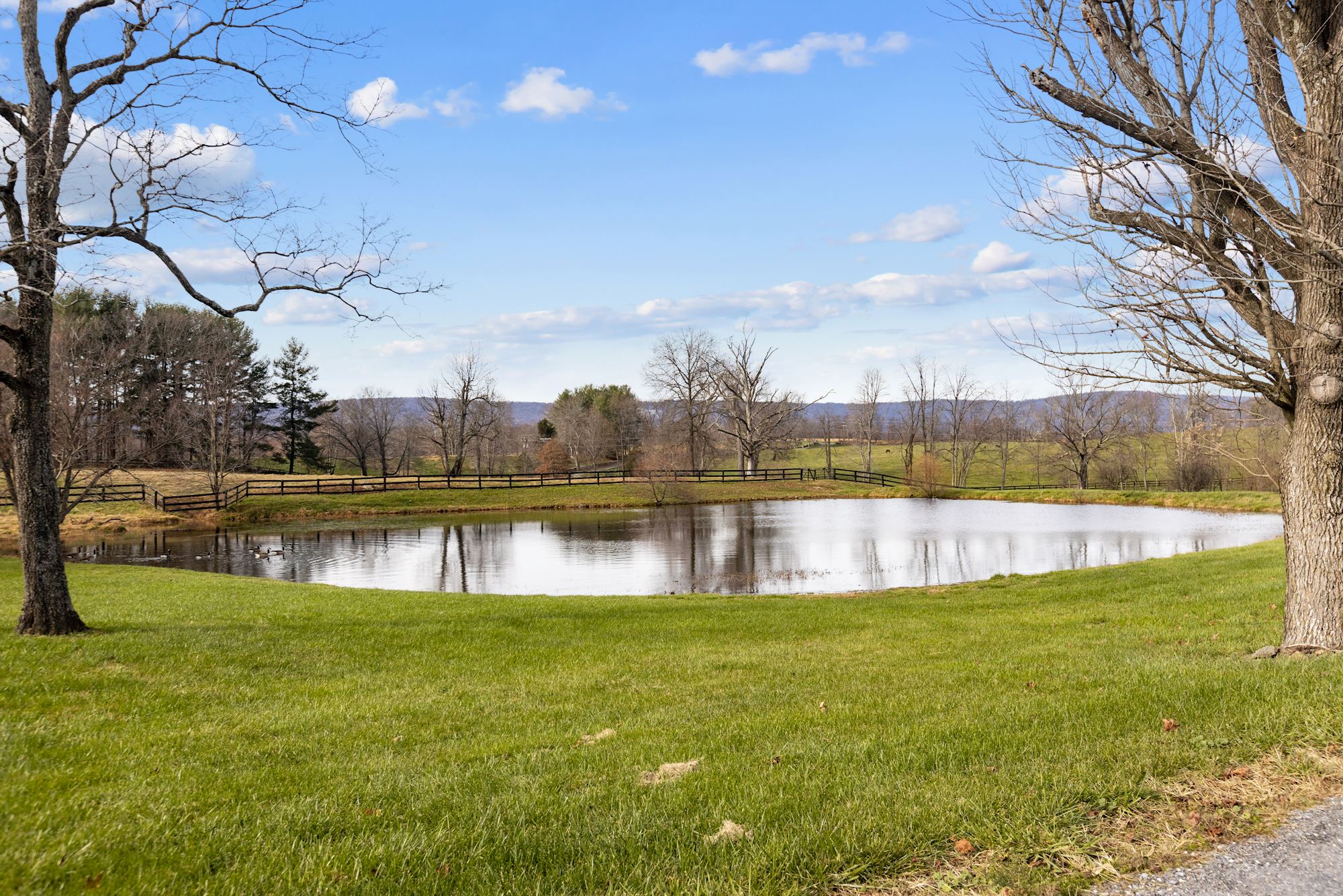 Thomas & Talbot | Littleton Farm