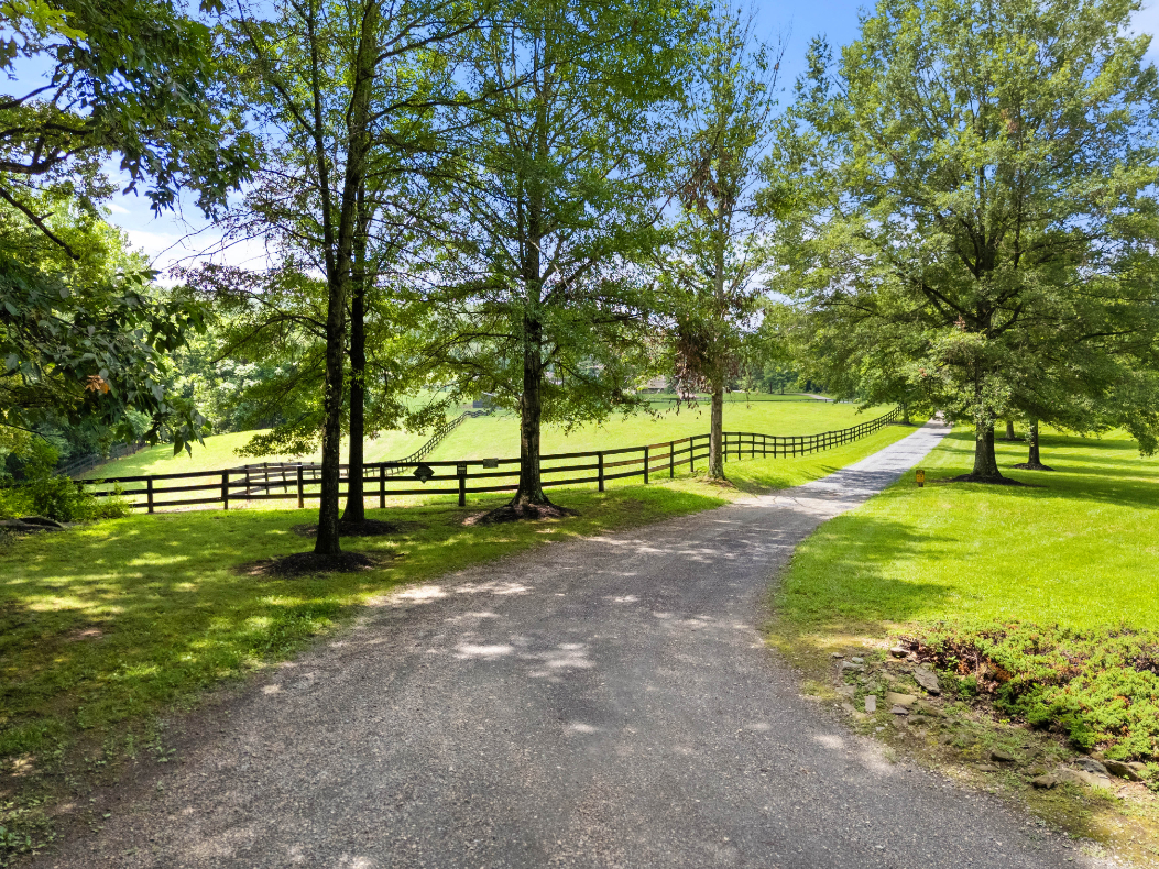 Thomas & Talbot | Morningstar Farm