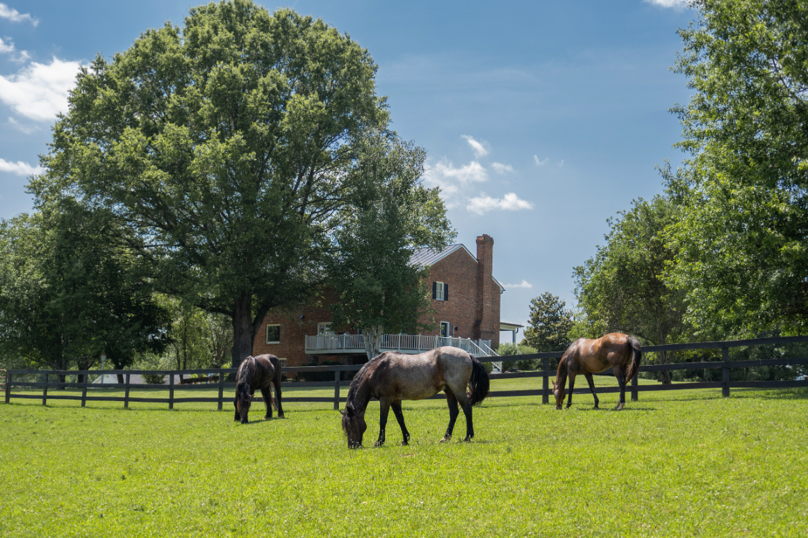 Thomas & Talbot | Old Mill Farm