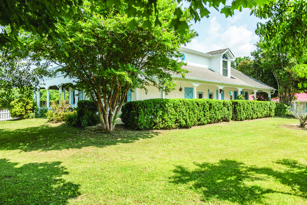 Thomas & Talbot | Reflections Farm