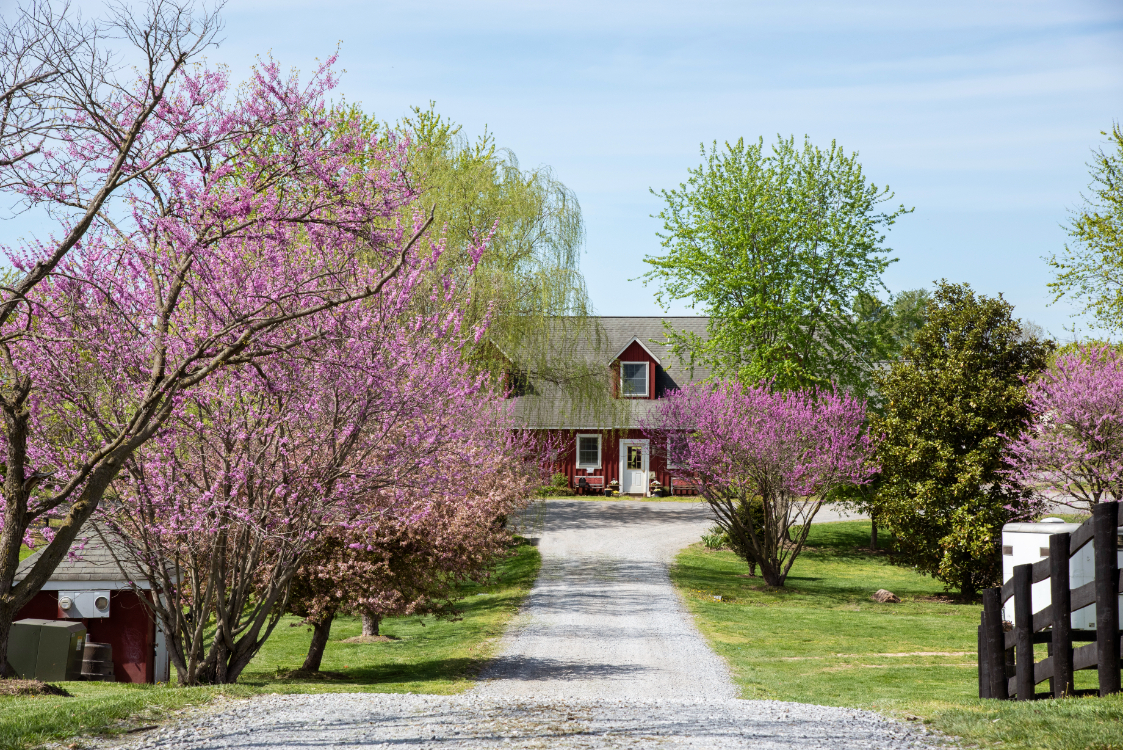 Thomas & Talbot | Sandstone Farm