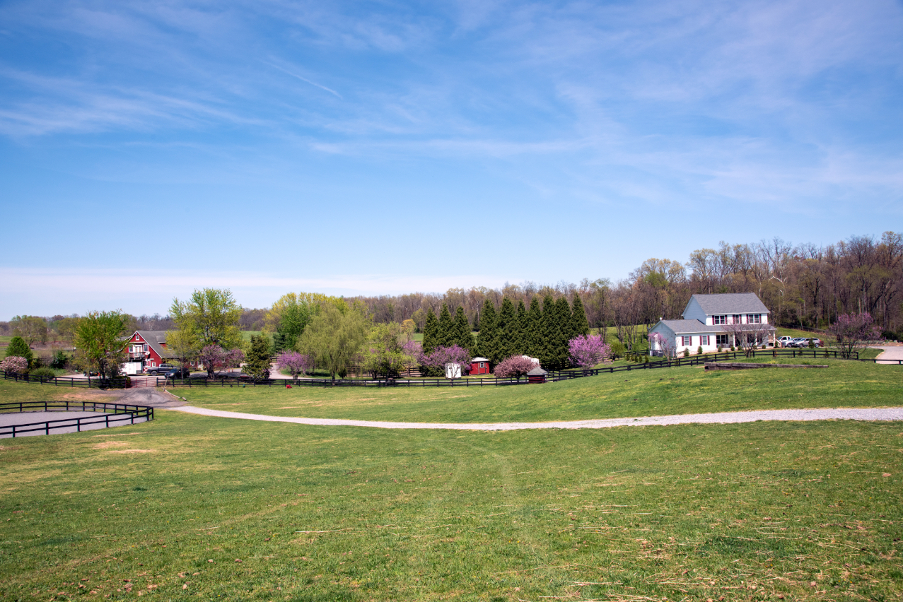 Thomas & Talbot | Sandstone Farm